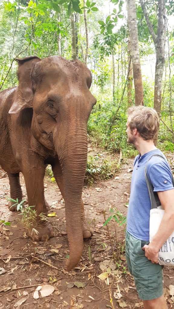 Wildlife in Peril - Wildlife encounters across the world.